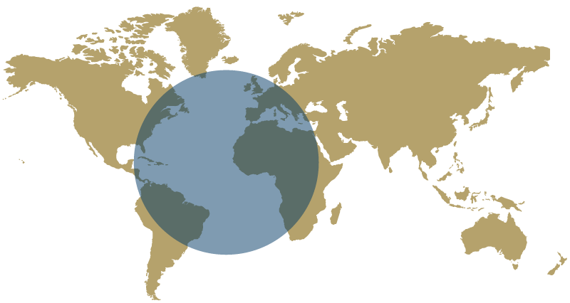 Common Octopus - South Carolina Aquarium